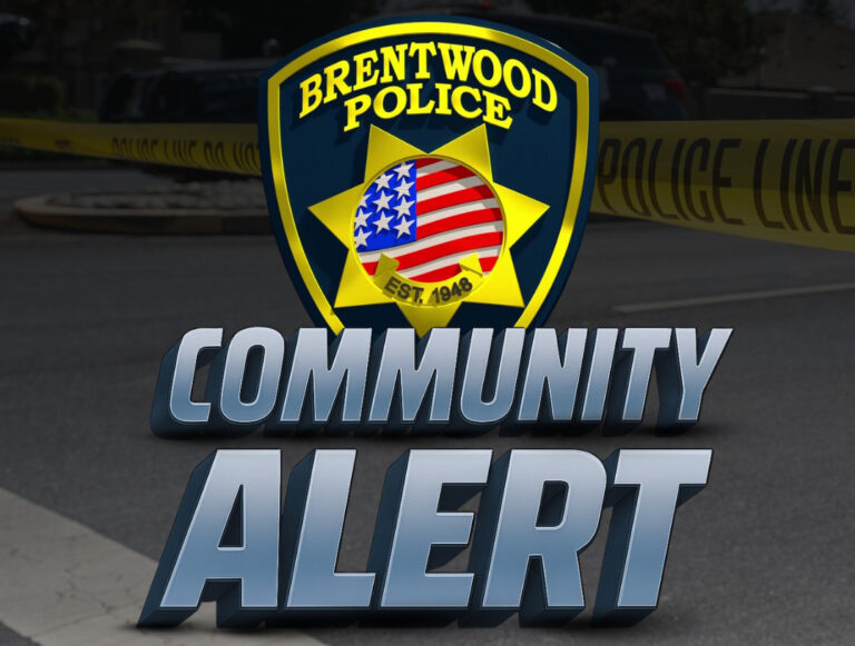 Two juveniles arrested following large fight in Brentwood City Hall ...
